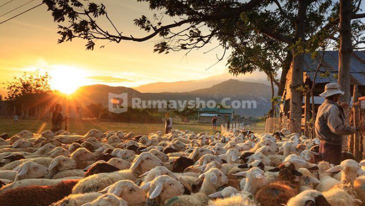 Khutbah Jumat: Jangan Lewatkan! Ini 3 Amalan Sunnah yang Dianjurkan ...